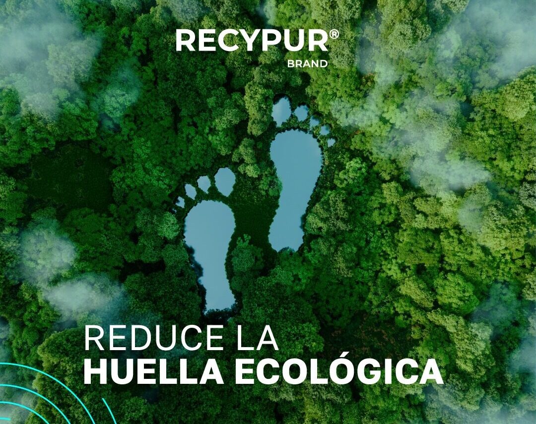 ¿Huella Ecológica? RECYPUR® Hace su Contribución - Grupo Delax